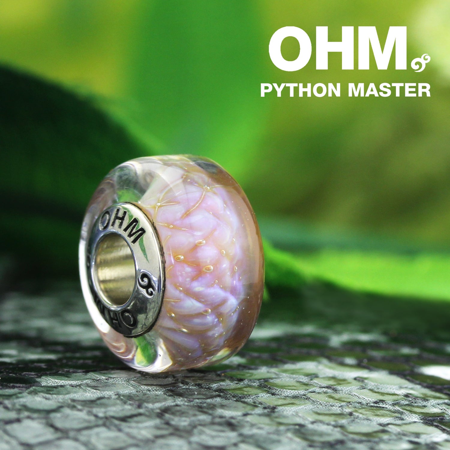Python Master – OHM Thailand