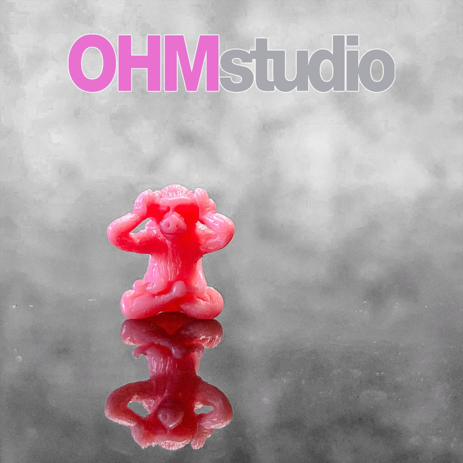 MONKEY DON’T LISTEN – OHM Thailand
